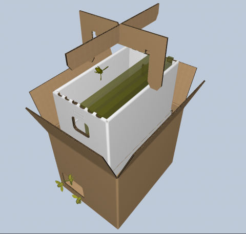 WorldStar Winner: Bee shipping box"Papernuc"