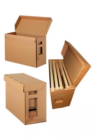 WorldStar Winner: CARDBOARD BOX FOR TRANSPORTING BEES