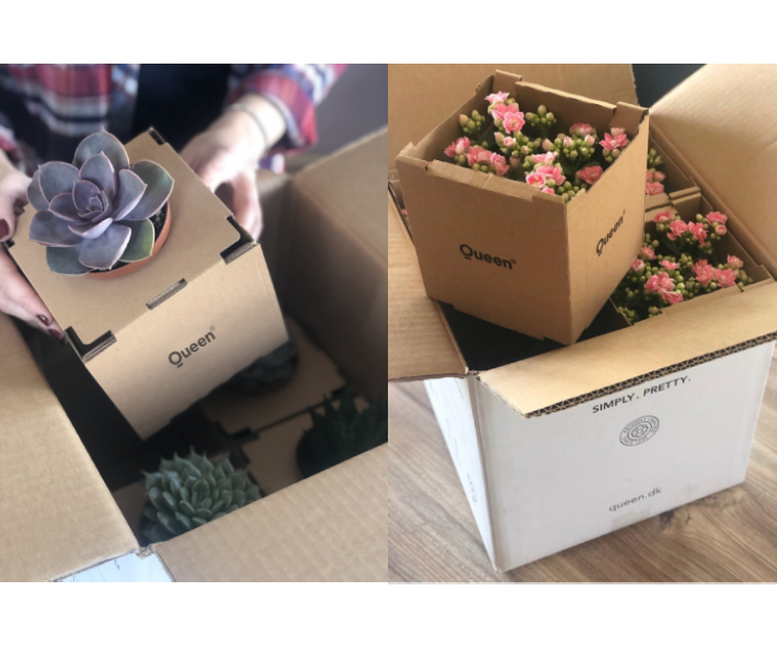 WorldStar Winner: FloralBox