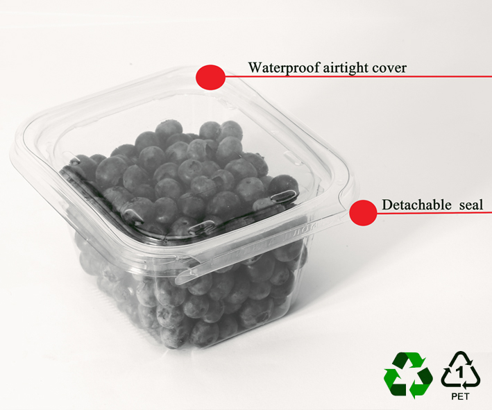 WorldStar Winner: Food polymer container with seal and waterproof ...
