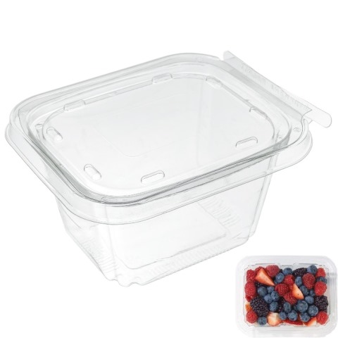 WorldStar Winner: Food polymer container with seal and waterproof ...