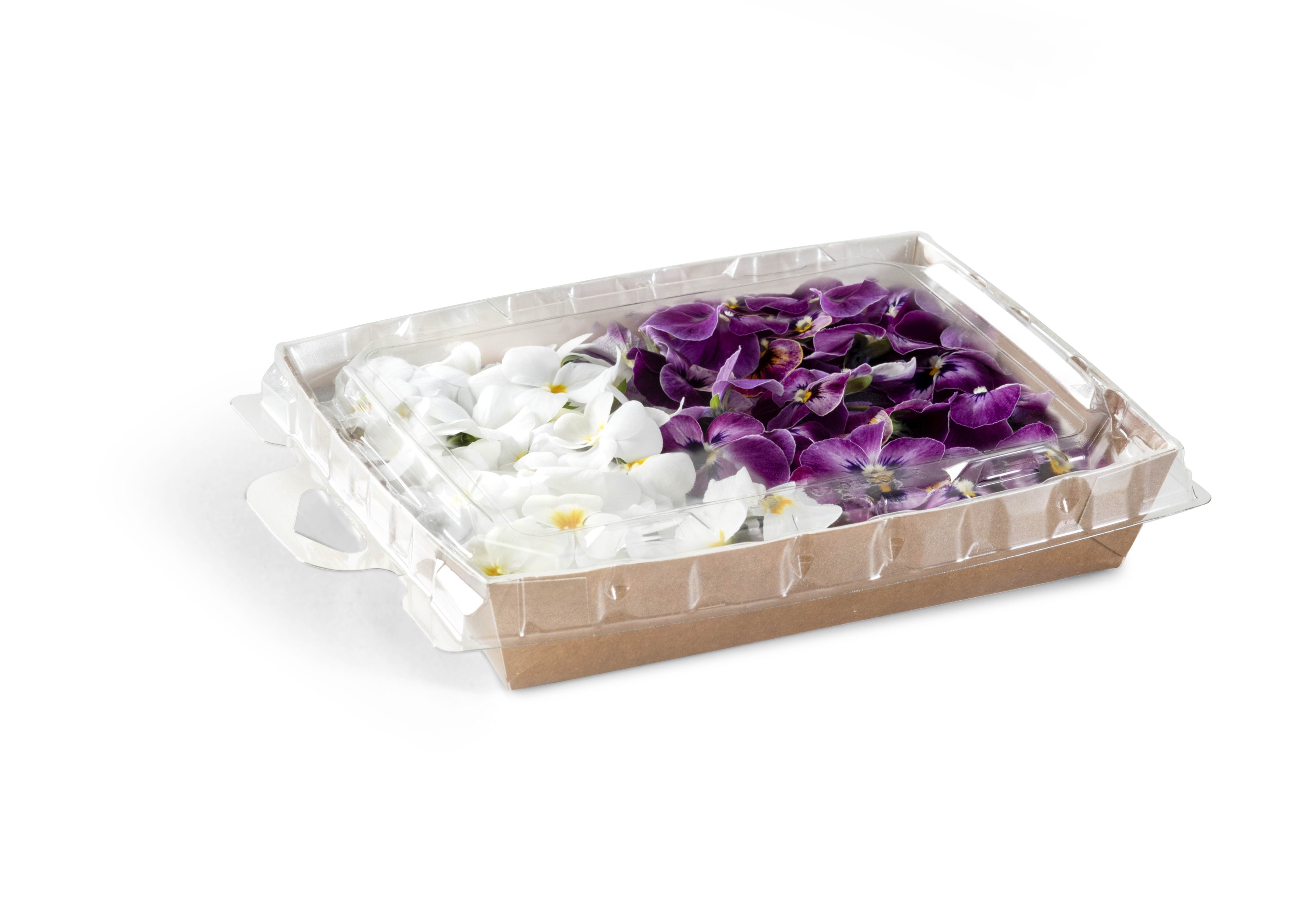 WorldStar Winner: hvb HiPack