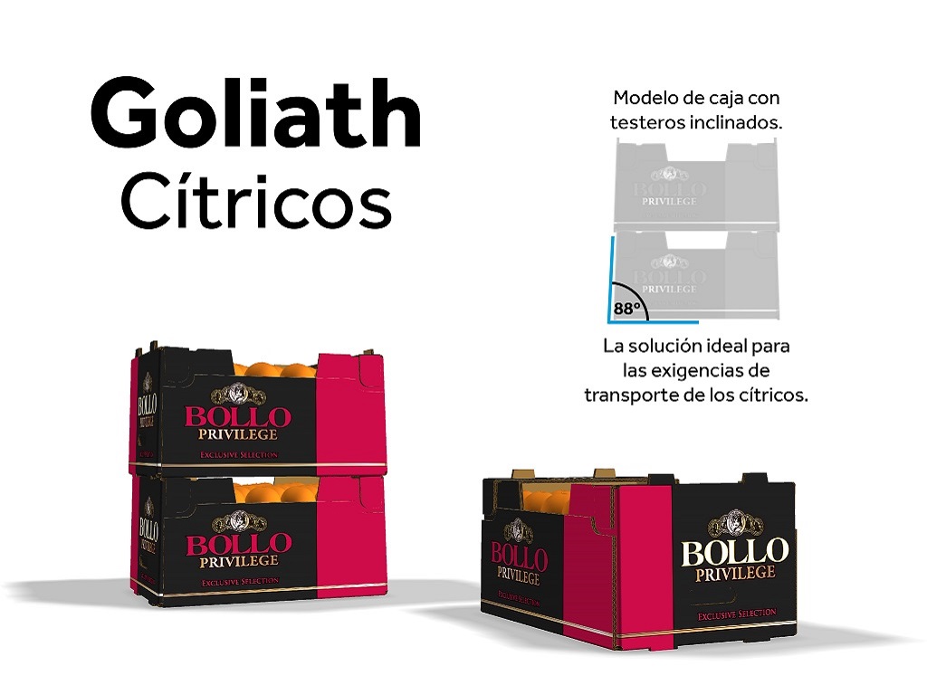 WorldStar Winner: Goliath Box