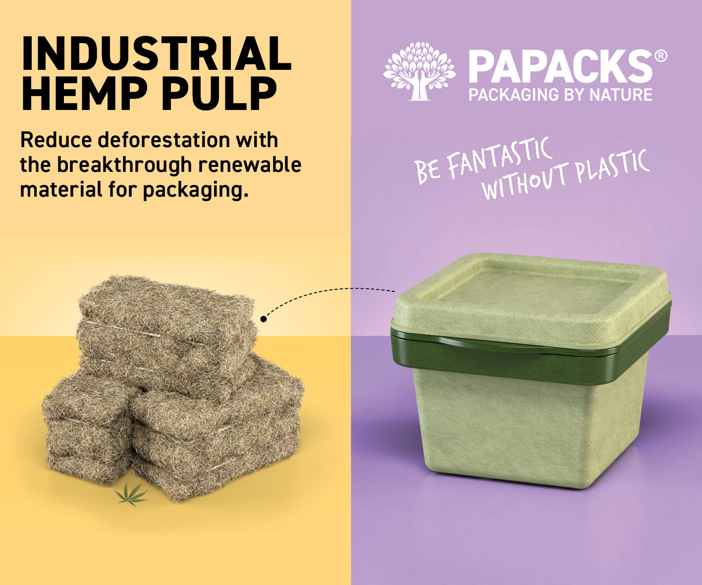 WorldStar Winner: PAPACKS® HEMP CAPS