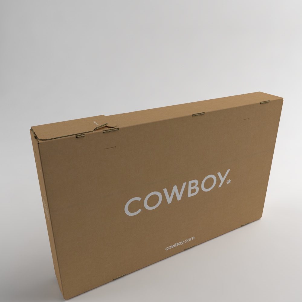 WorldStar Winner: Innovative ebike e-commerce packaging