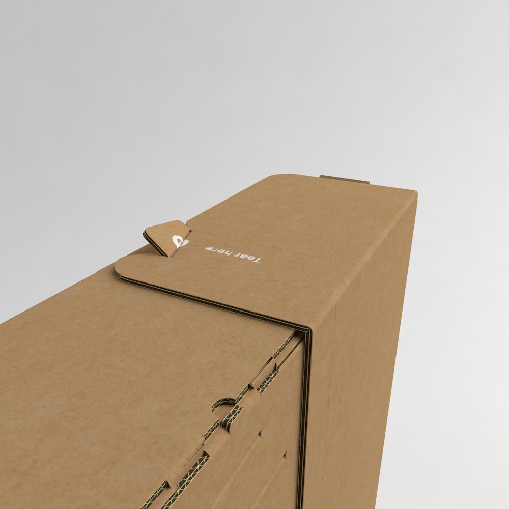 WorldStar Winner: Innovative ebike e-commerce packaging