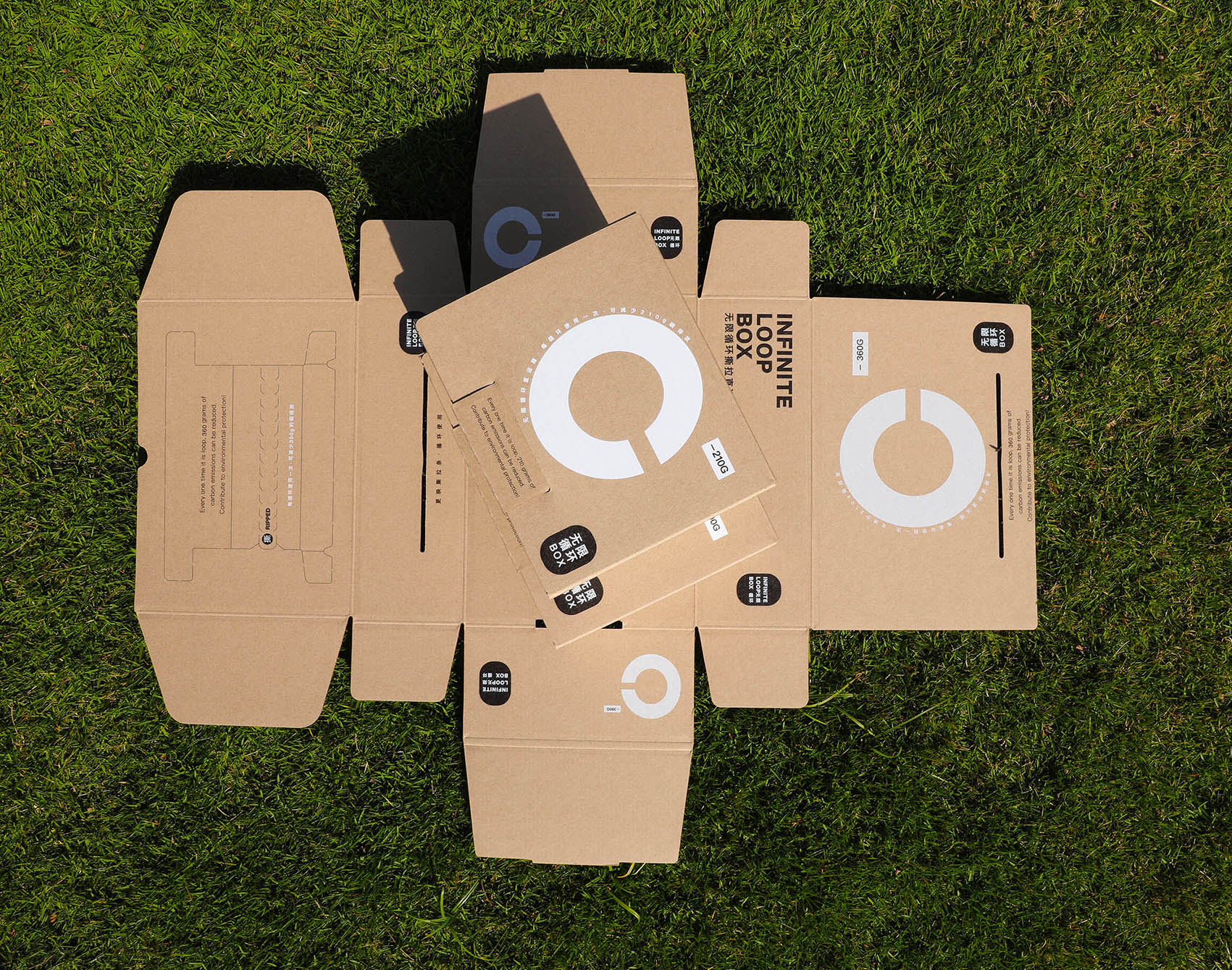 WorldStar Winner: Infinite Loop Box