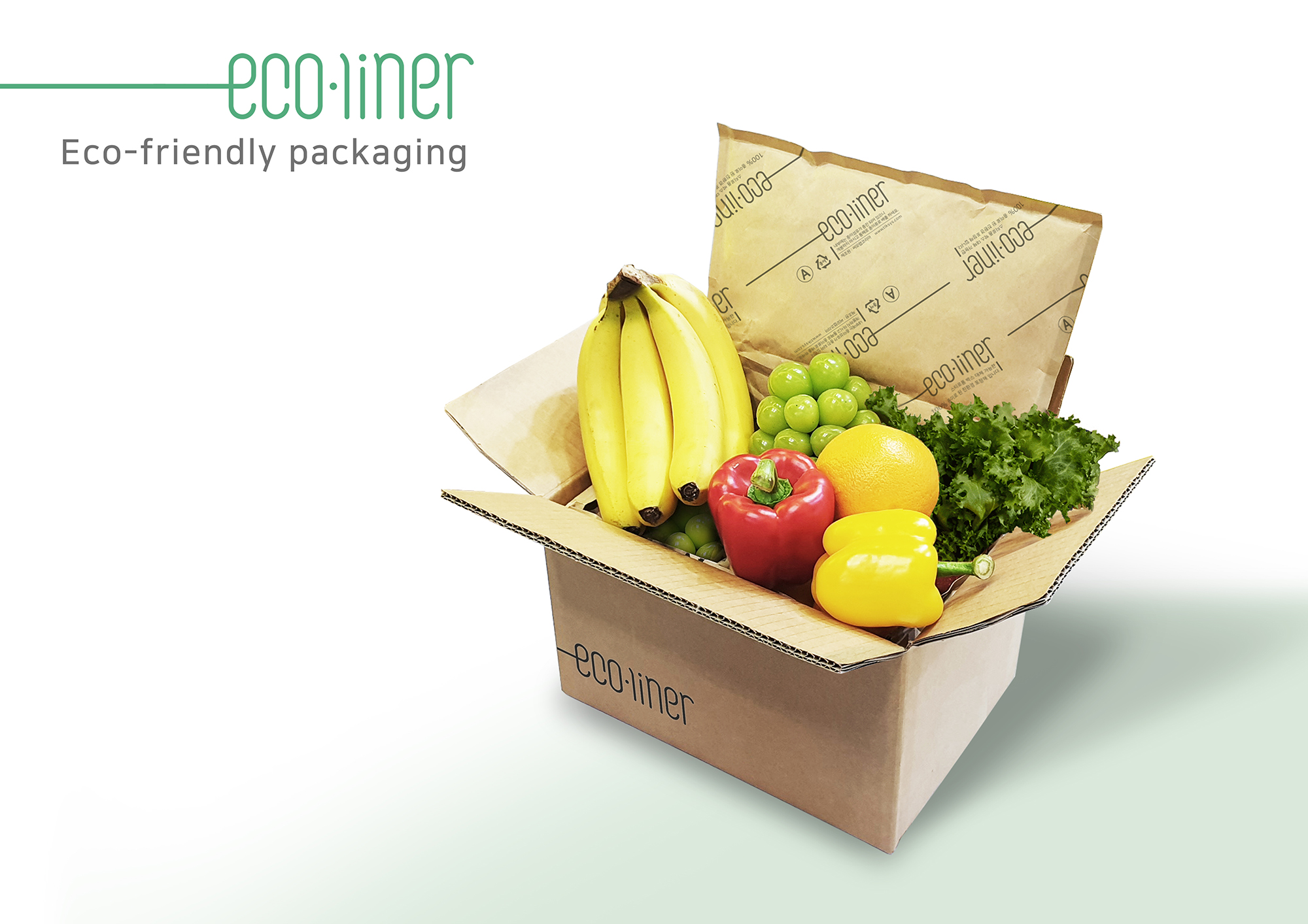 WorldStar Winner: Eco Liner