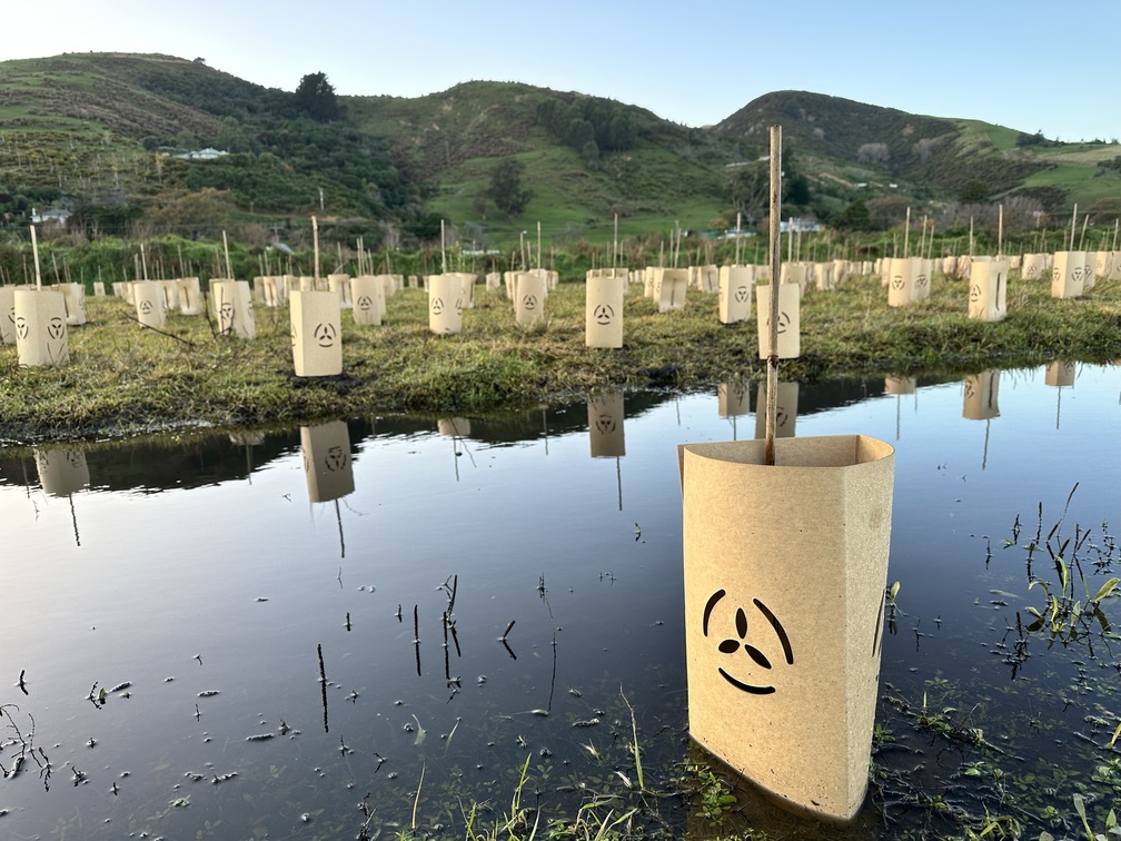 WorldStar Winner: EmGuard