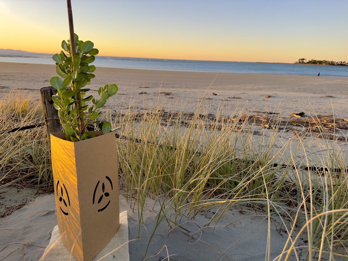 WorldStar Winner: EmGuard