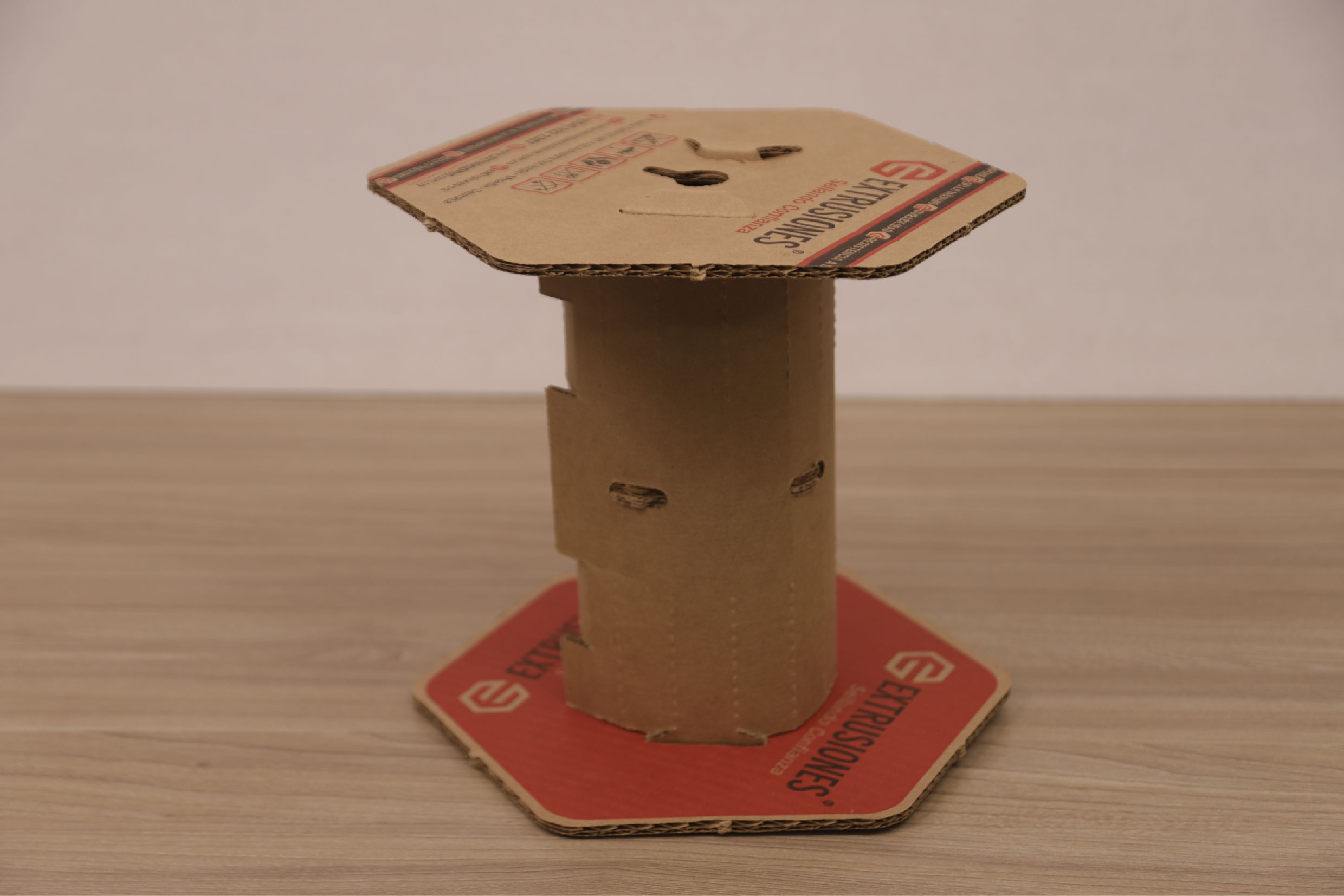 WorldStar Winner: Sustainable Cardboard Reels - Extrusiones