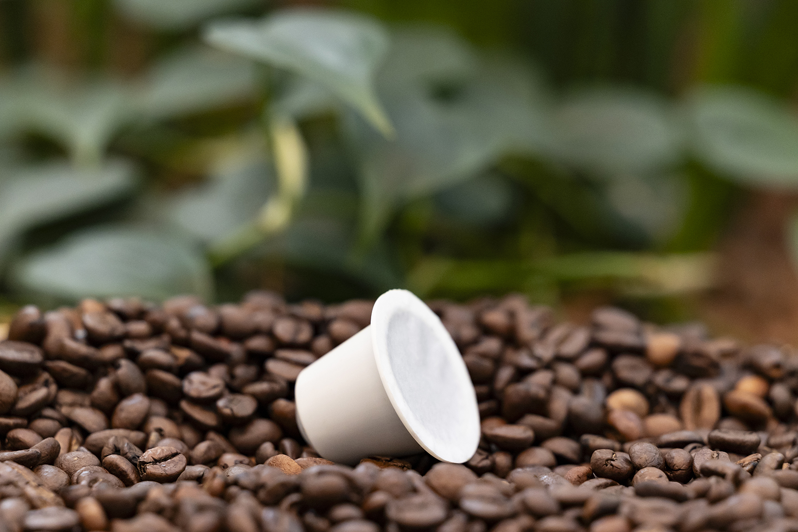WorldStar Winner: Home-Compostable Coffee Capsules