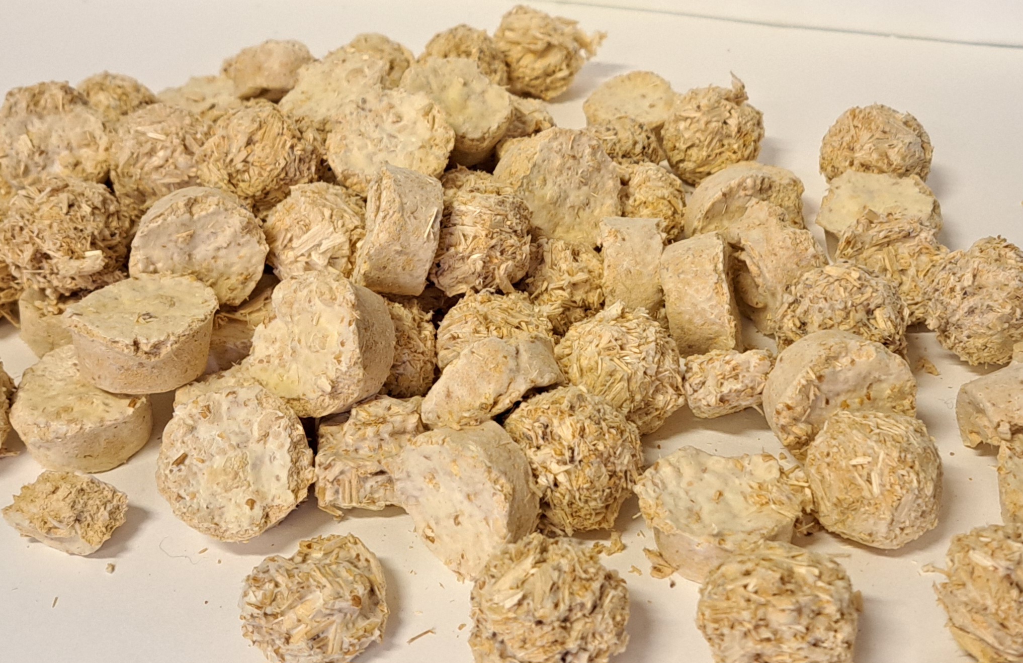 WorldStar Winner: MYCELIUM COMPOSITE PACKAGING PELLETS
